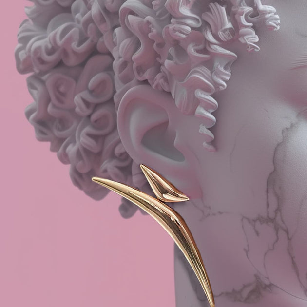 Earrings – Voisson